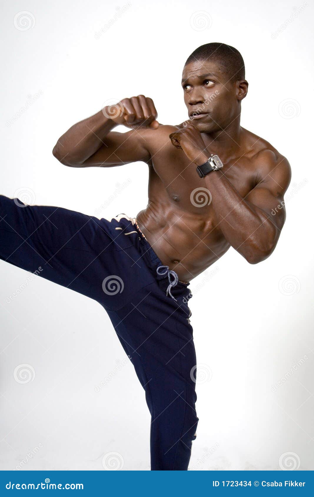High Kick stock photo. Image of person, active, style - 1723434