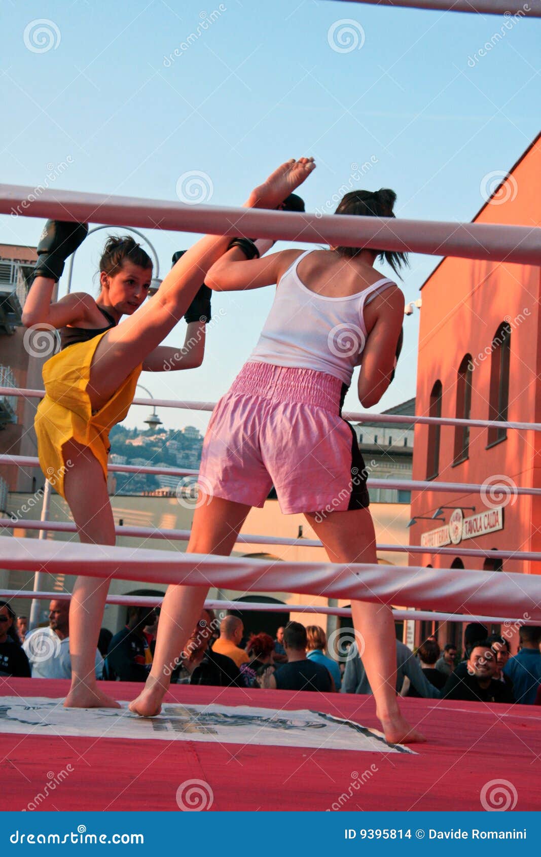 High kick editorial stock image. Image of fight, kick - 9395814