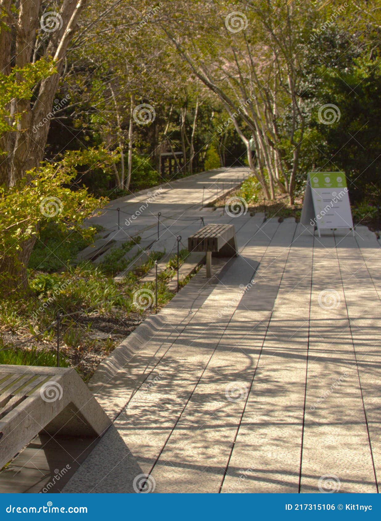 The High Line is an Elevated Park with Greenery and Planted Gardens for ...