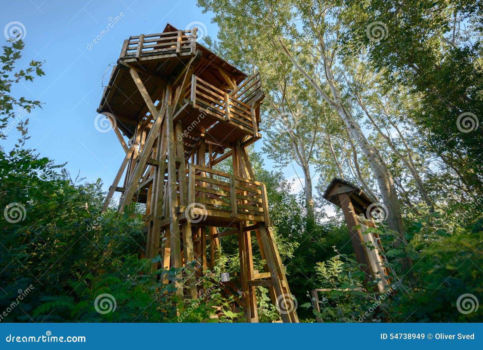High Lookout Tower in the Forest Stock Image - Image of tower ...
