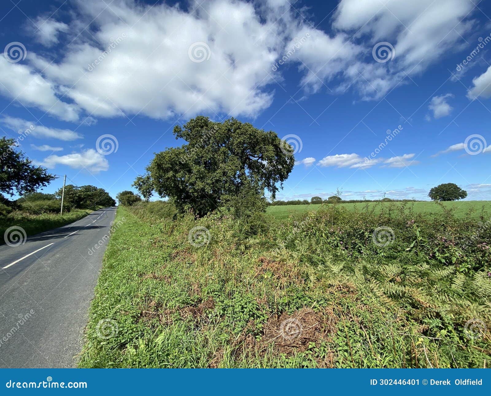 High Moor Road in, North Rigton, Harrogate, UK Stock Image - Image of ...