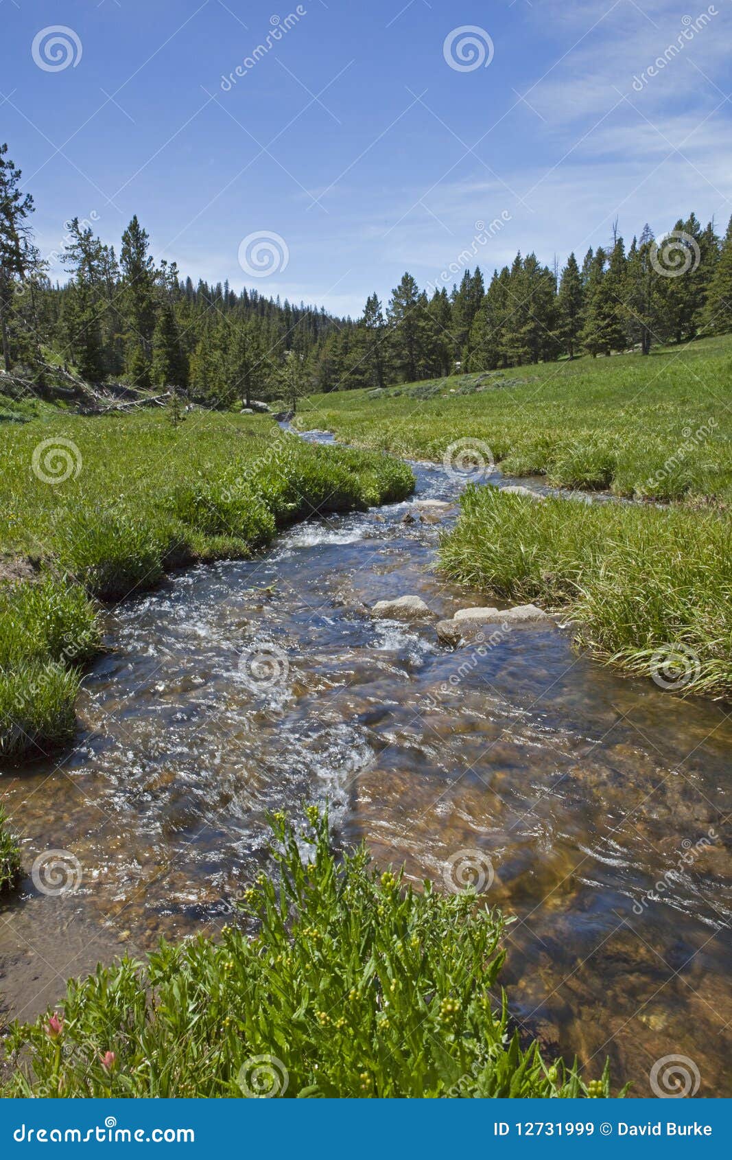 High Mountain Fishing Rocky Fishing Stream Stock Image - Image of trout ...
