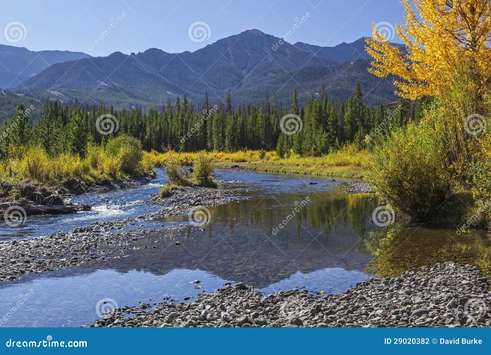 High Mountain Fishing Stream Stock Photo - Image of fishing, nature ...