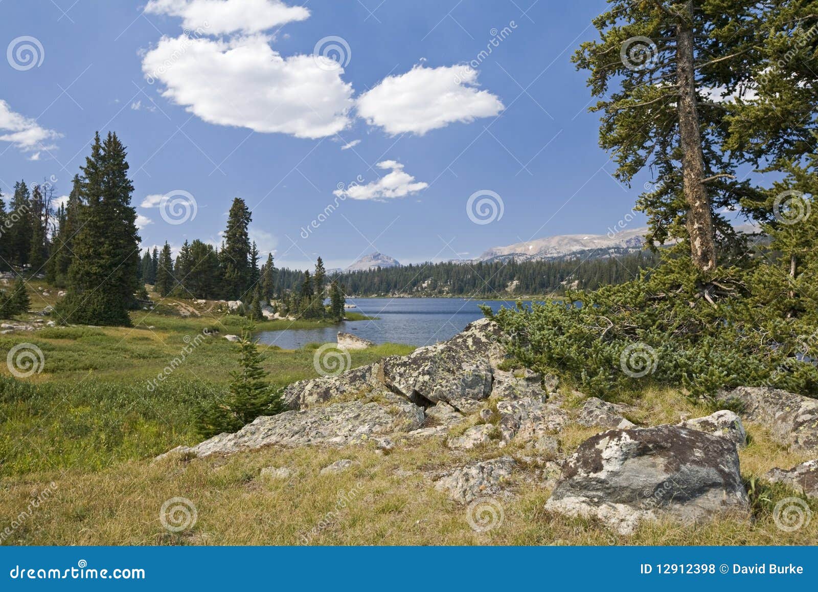 High Mountain Lake Alpine Fishing Beartooth Stock Photo - Image of ...