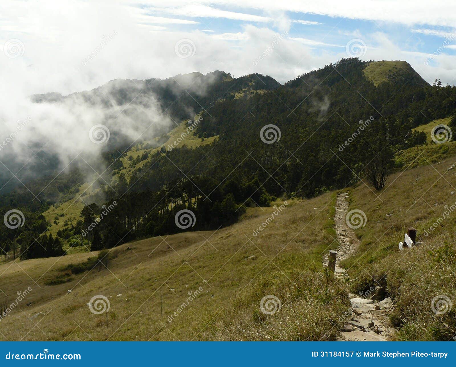 High Mountain Path -- Central Taiwan Royalty-Free Stock Photo ...