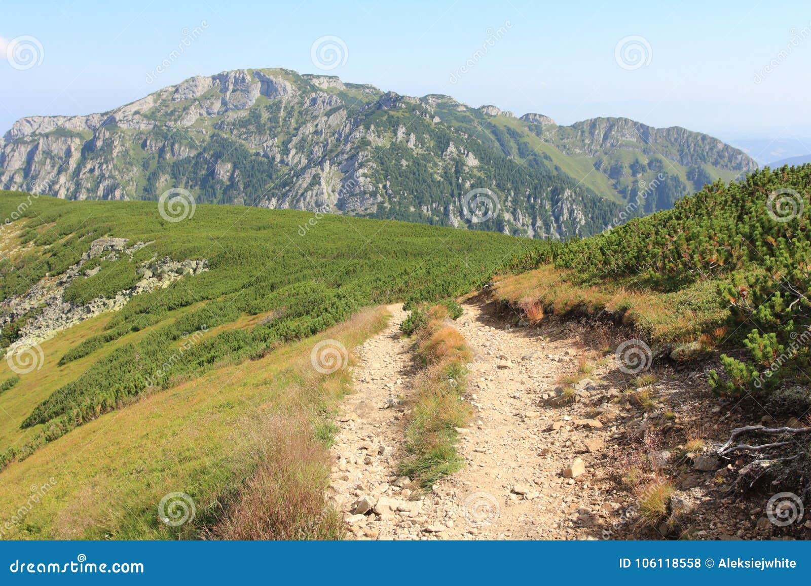 High Mountain Path in Polish Tatra Stock Photo - Image of beautiful ...