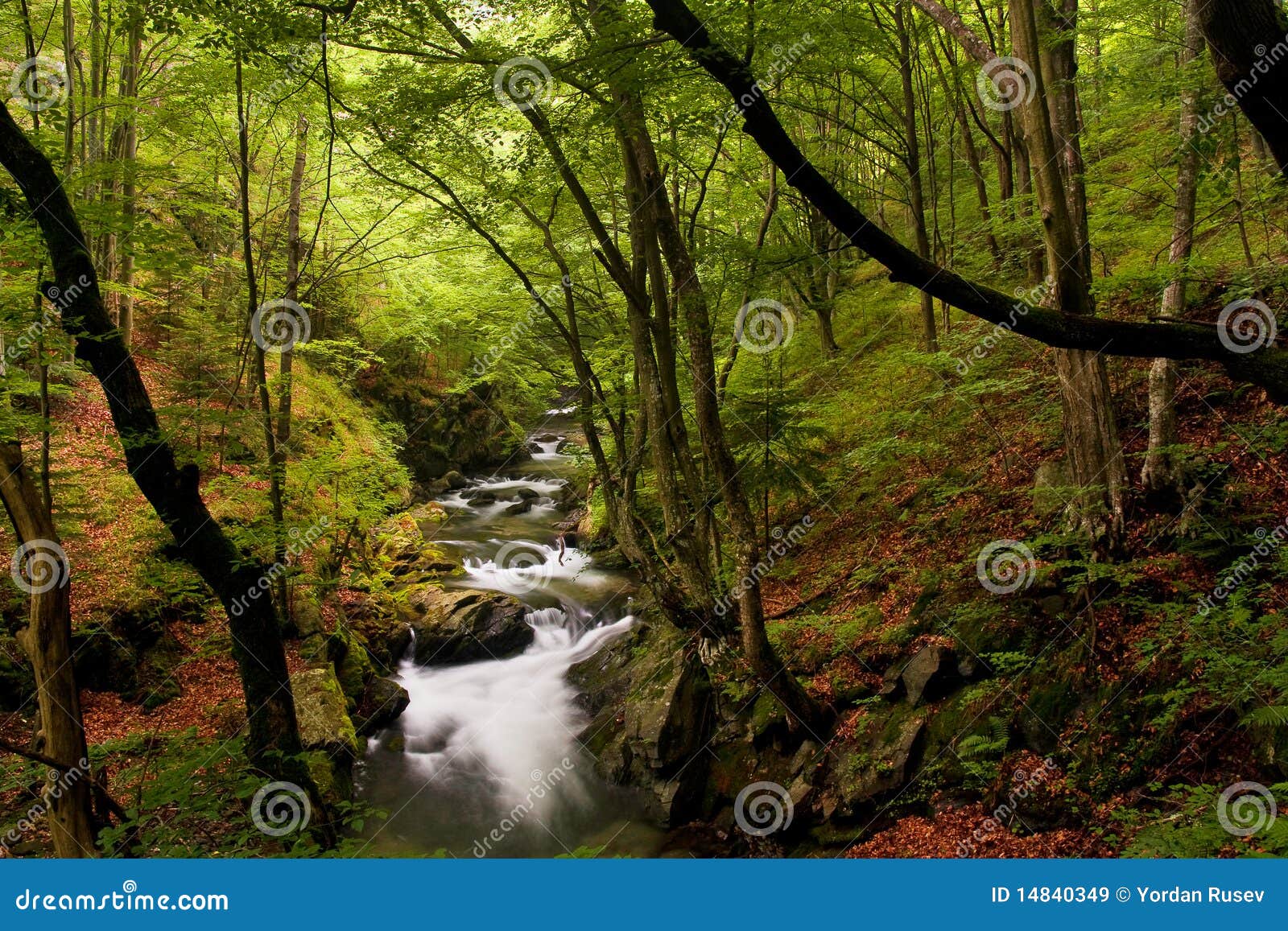 High Mountain River in Forest Stock Image - Image of peaceful, nature ...