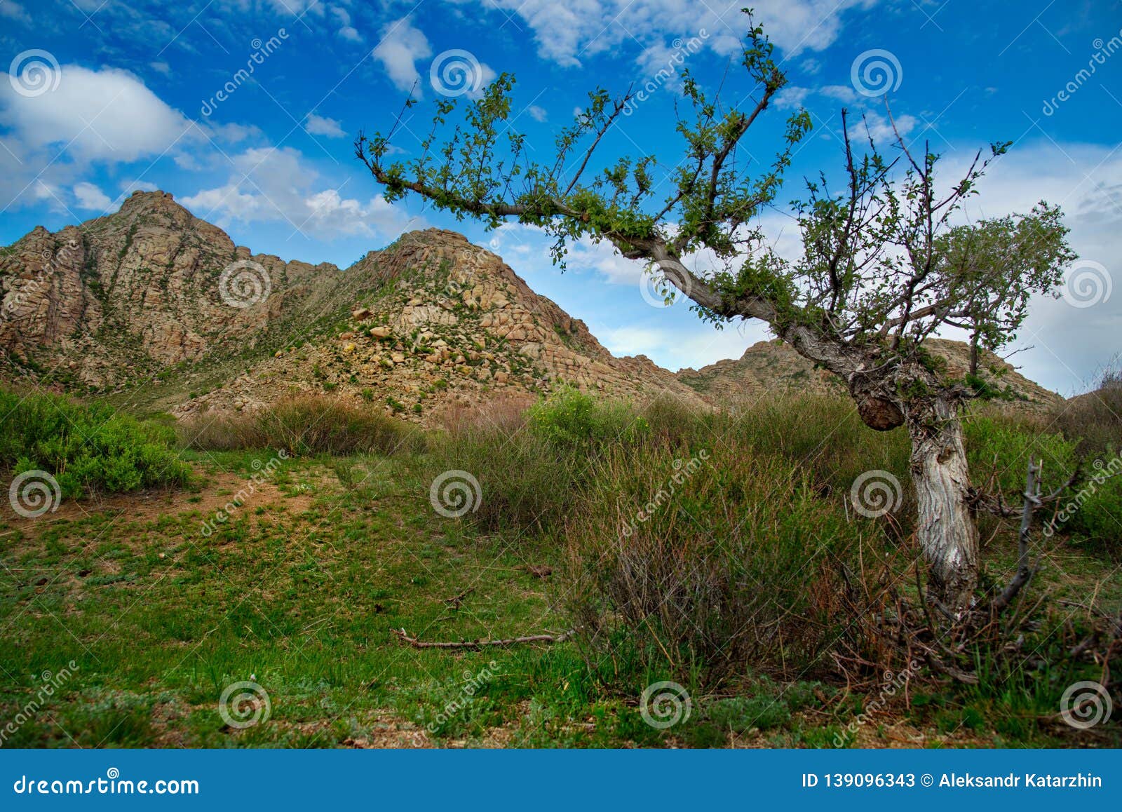 High-mountain Steppes of Mongolia Stock Image - Image of ovgon, green ...