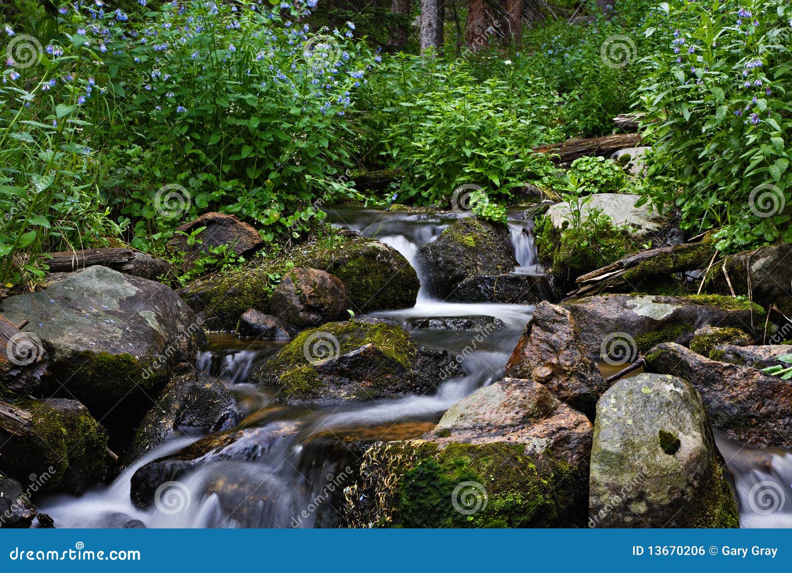 High Mountain Stream stock photo. Image of rippling, park - 13670206