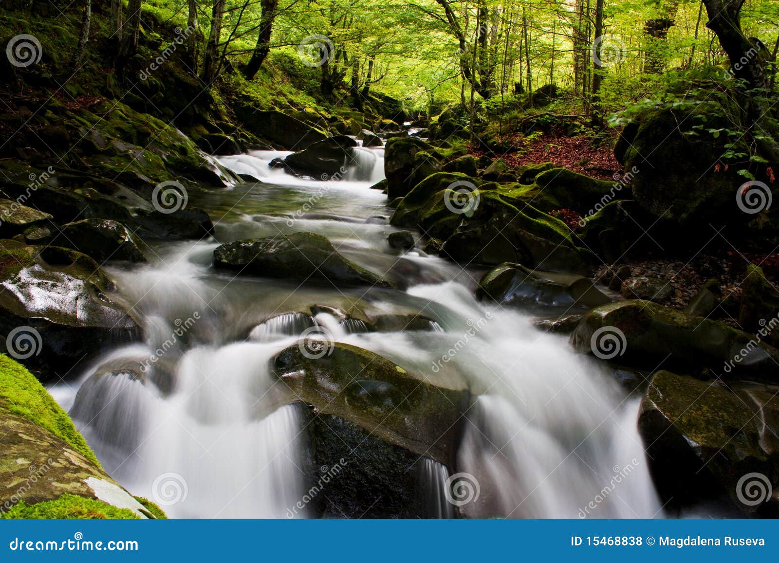 High Mountain Stream in Forest Stock Photo - Image of peace, forest ...
