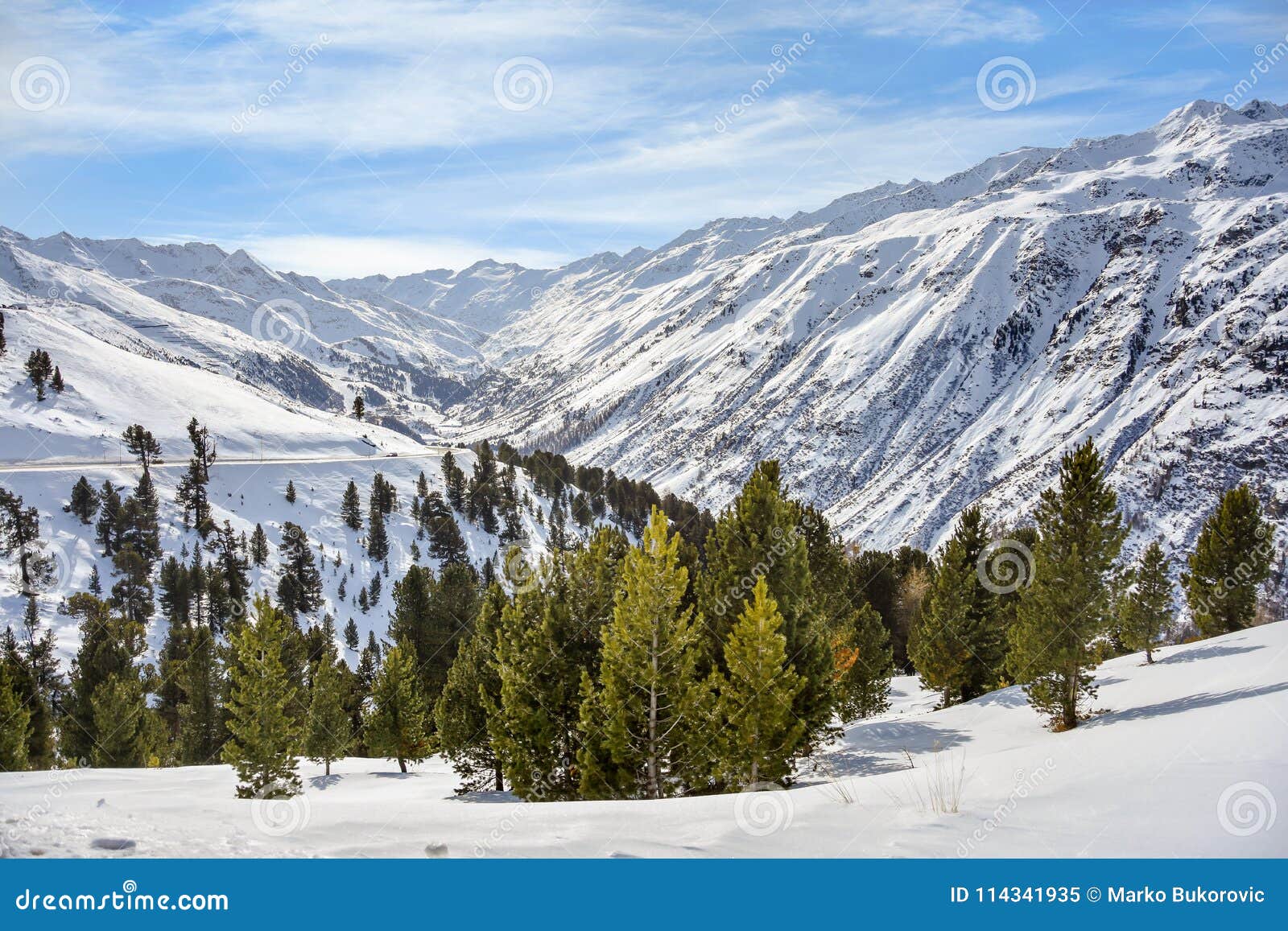 High Mountain Top View with Pine Tree and Cloudy Sky Background Stock ...