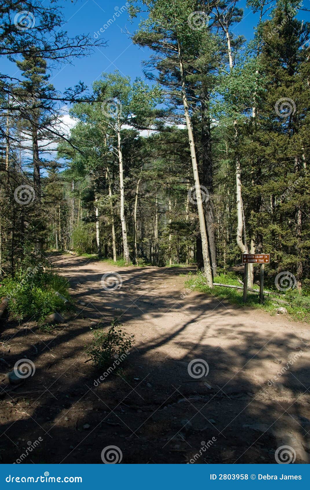 High Mountain Trail With Sign Picture. Image: 2803958