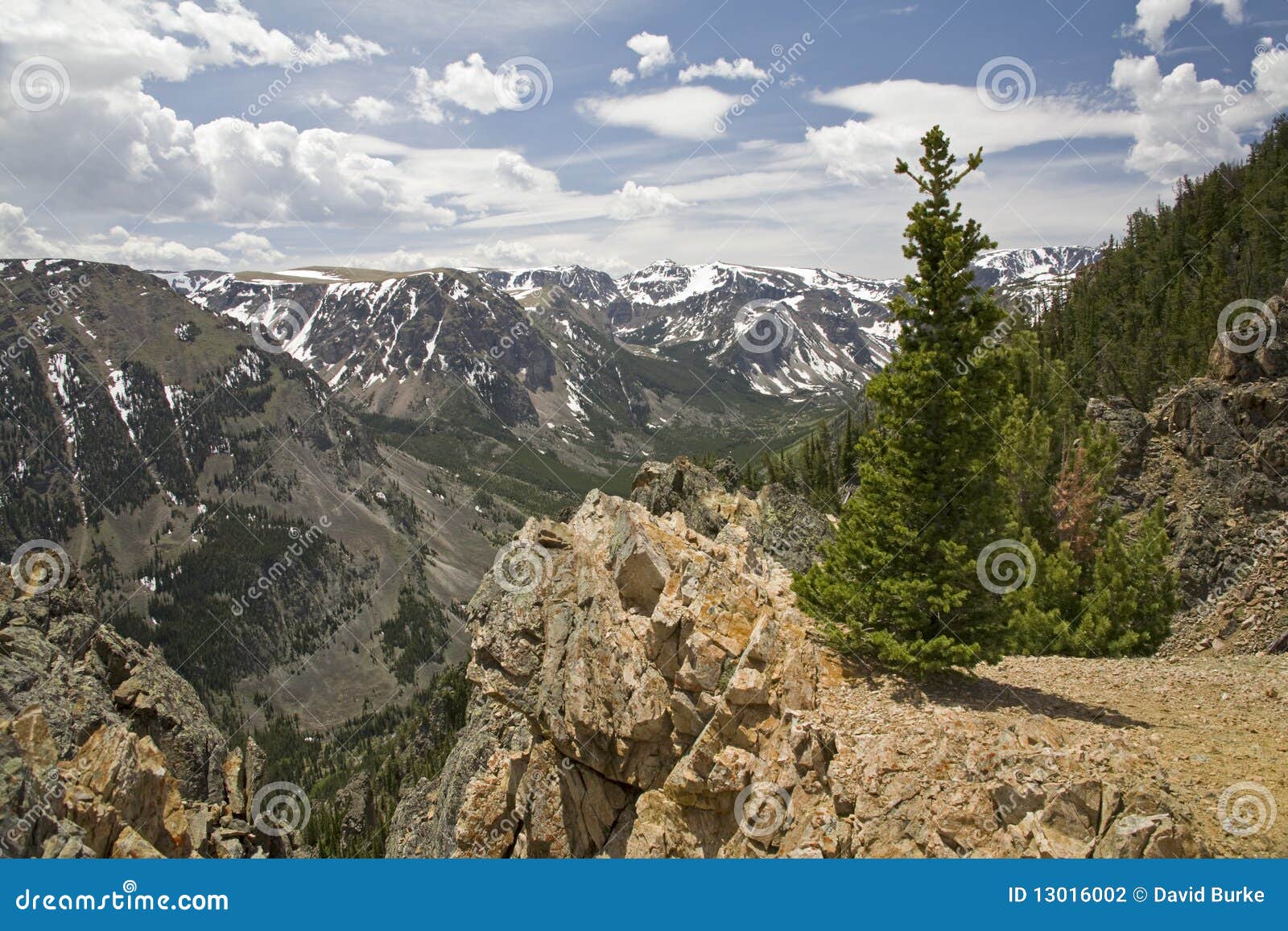 High Mountain View at Timberline Stock Photo - Image of bank, mountain ...
