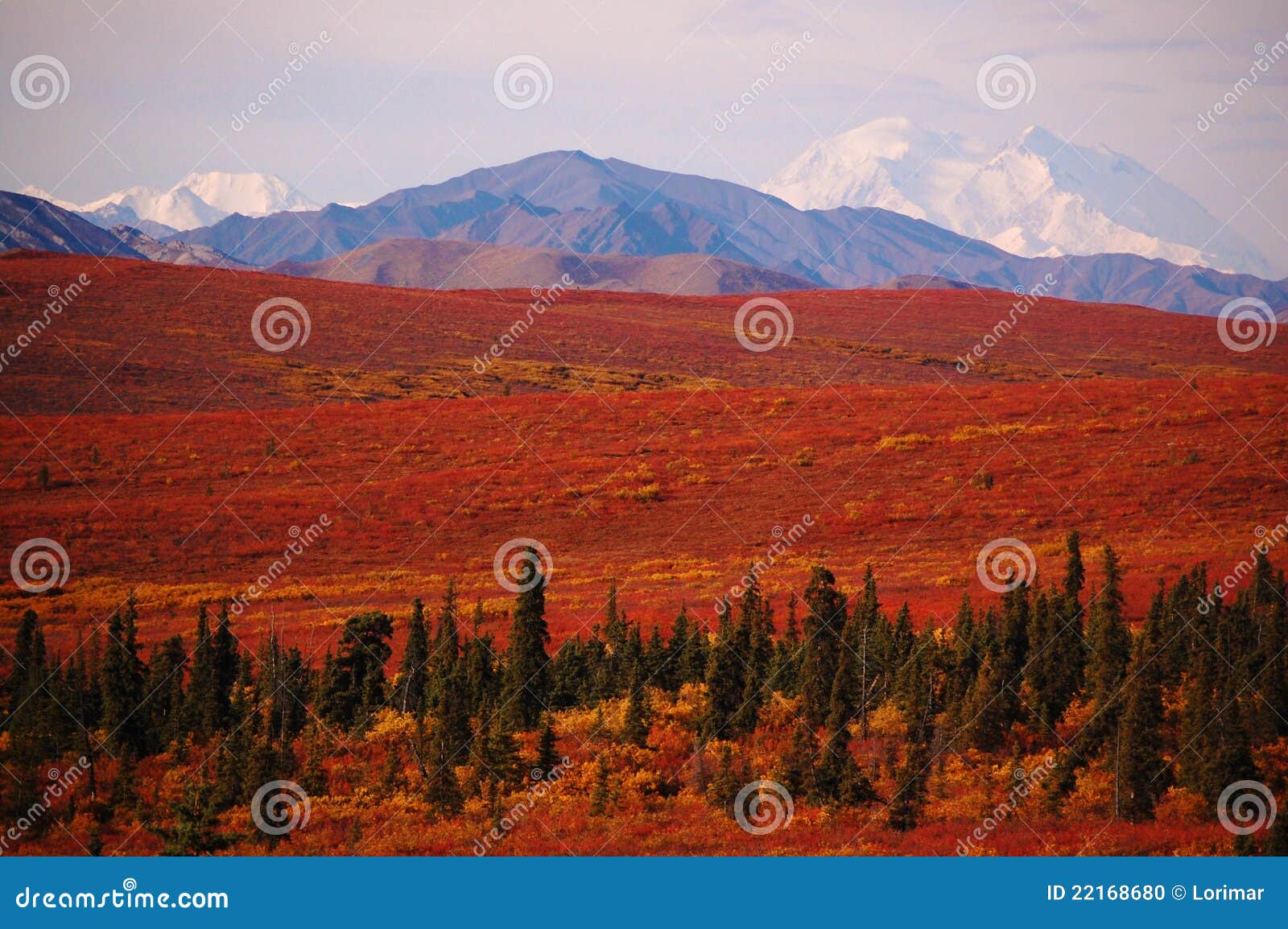 The High One Comes Out To Play Stock Photo - Image of mckinley ...