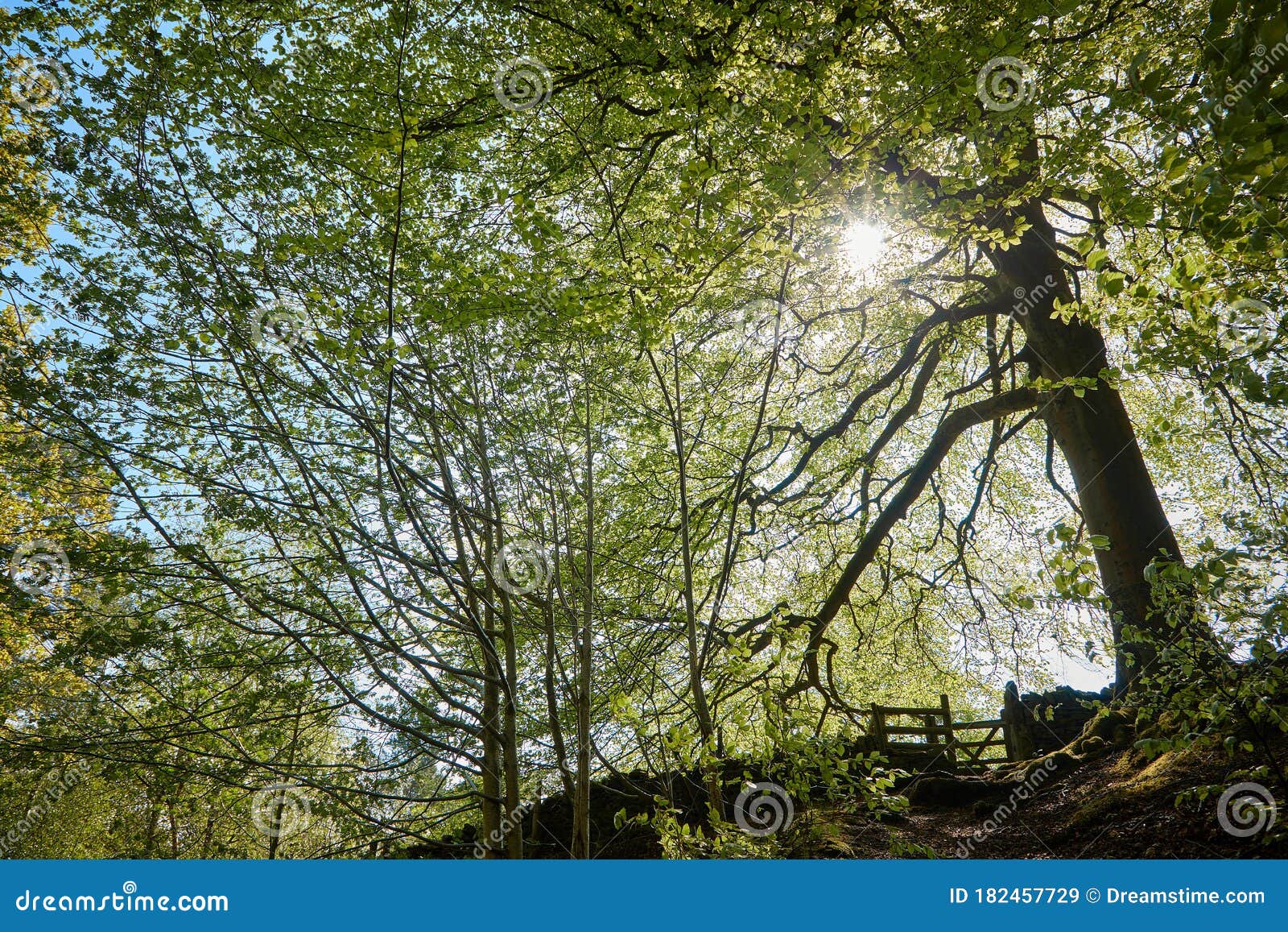 Pretty Scene On Sidewalk Of Downtown Area, With Inviting Black Metal ...