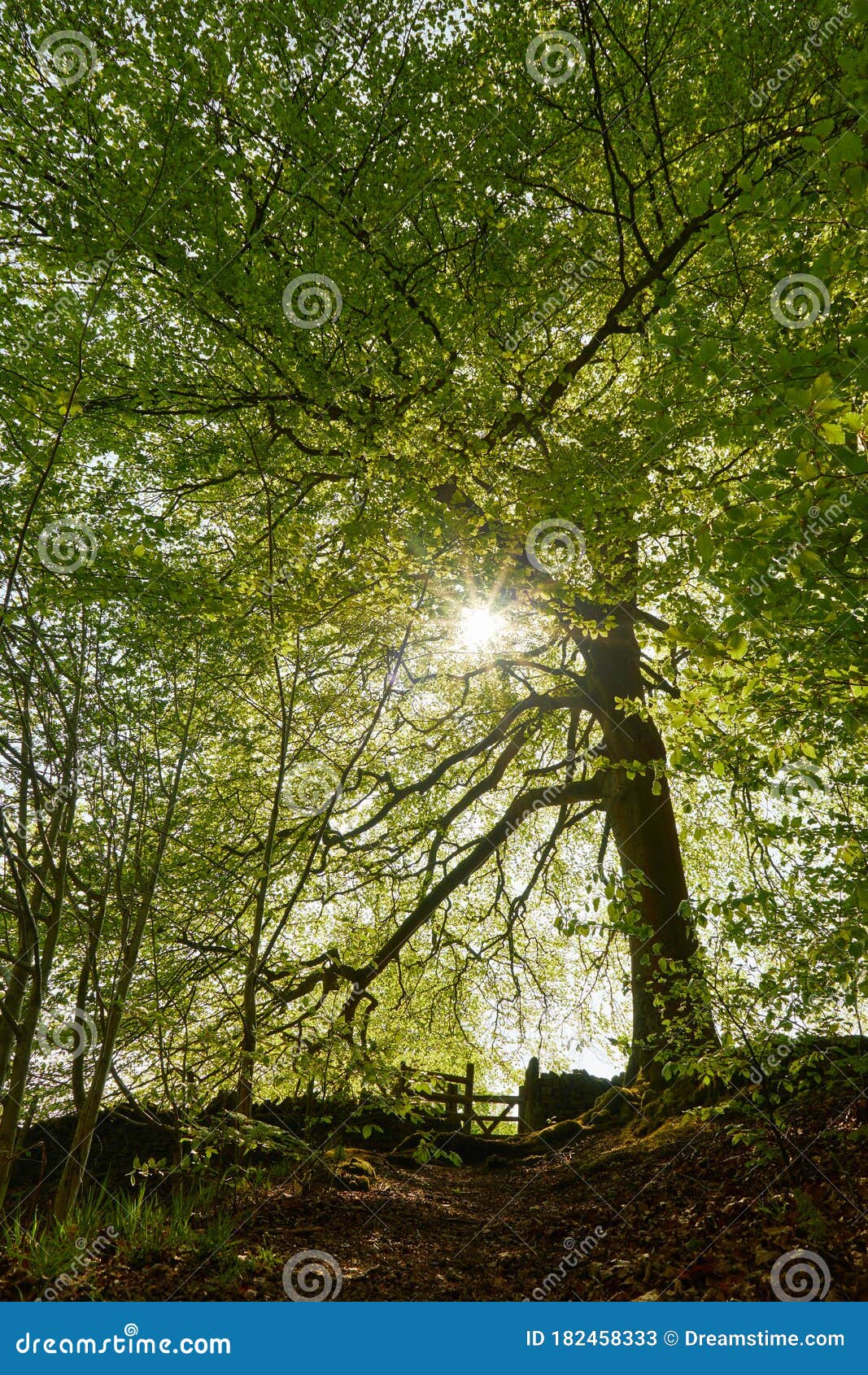 Pretty Scene On Sidewalk Of Downtown Area, With Inviting Black Metal ...