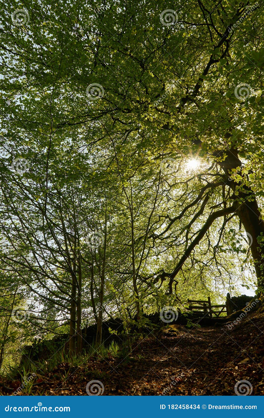 Pretty Scene On Sidewalk Of Downtown Area, With Inviting Black Metal ...