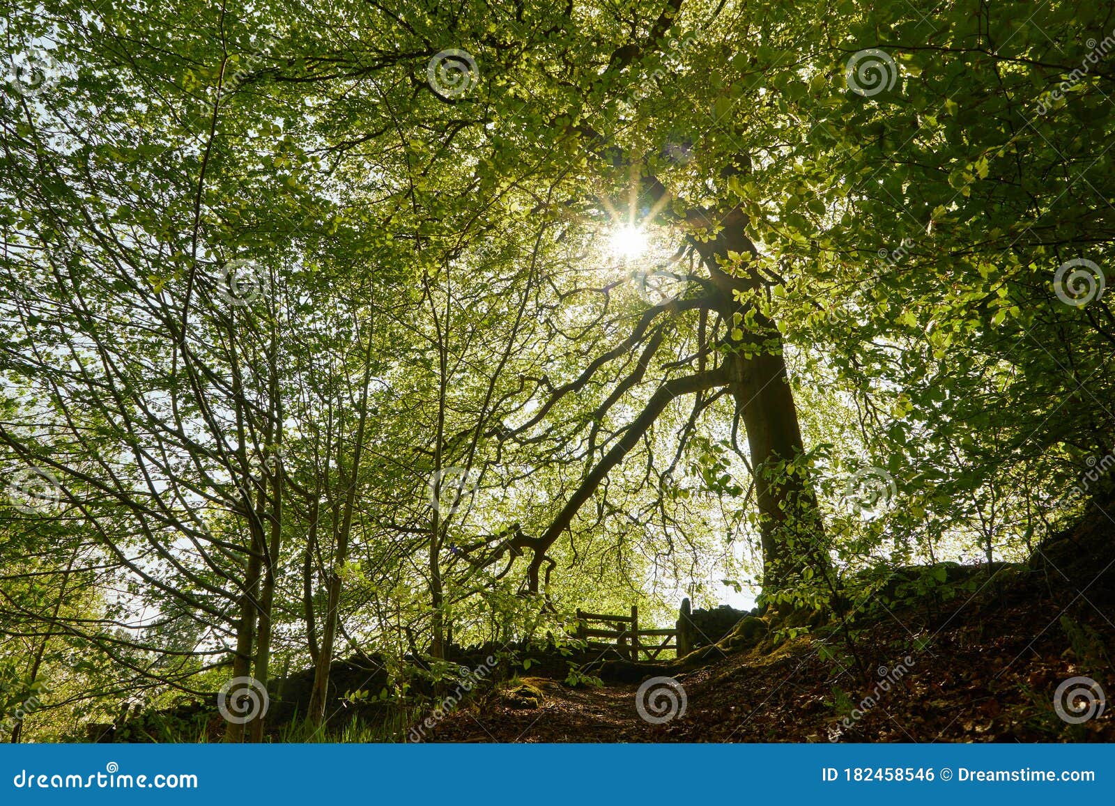 Pretty Scene On Sidewalk Of Downtown Area, With Inviting Black Metal ...