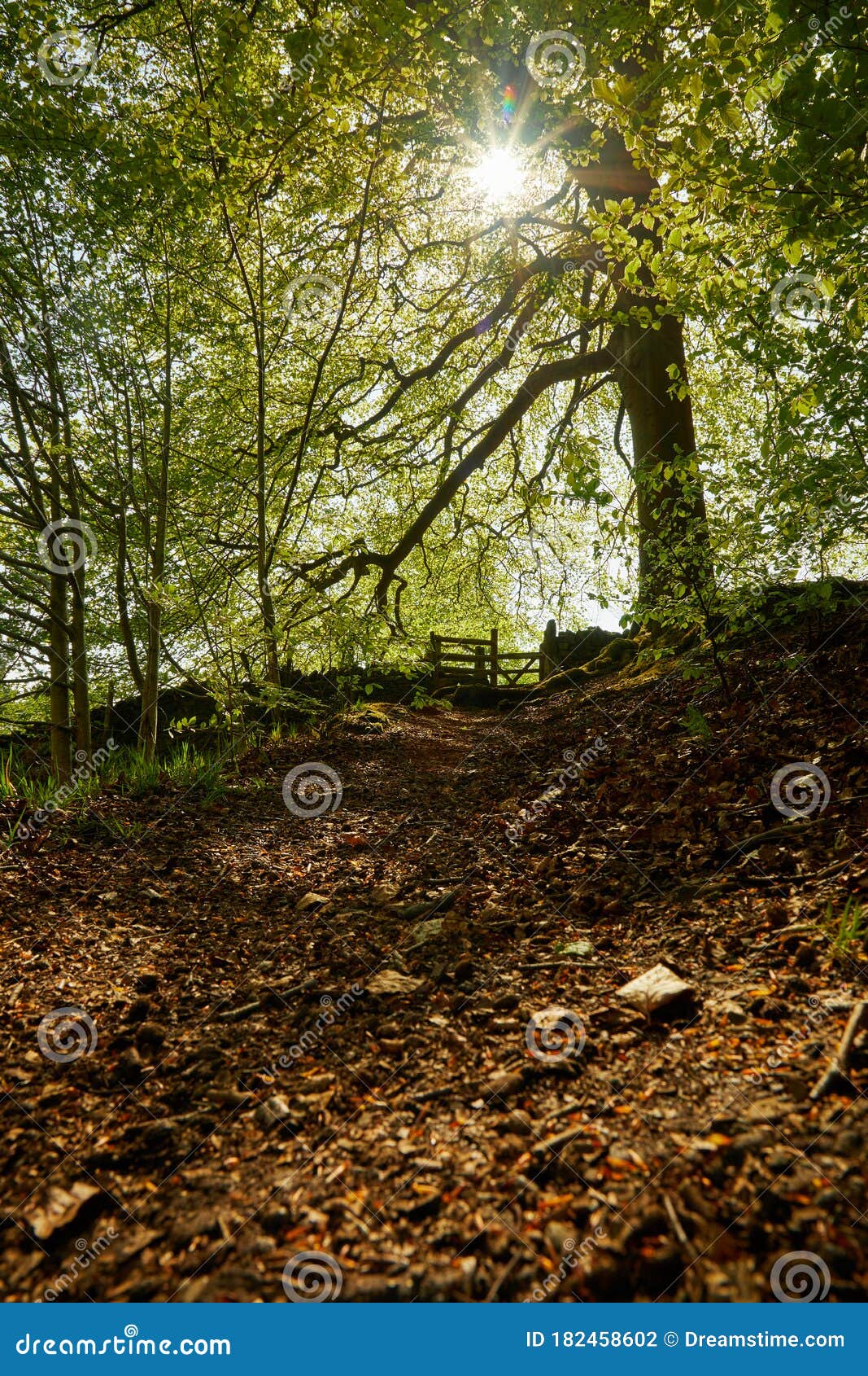Pretty Scene On Sidewalk Of Downtown Area, With Inviting Black Metal ...