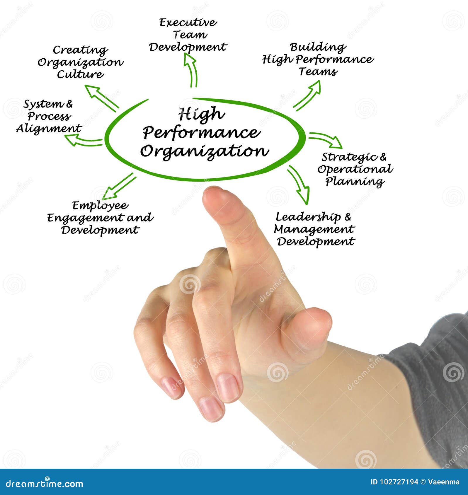 High Performance Organization Stock Photo - Image of leadership ...