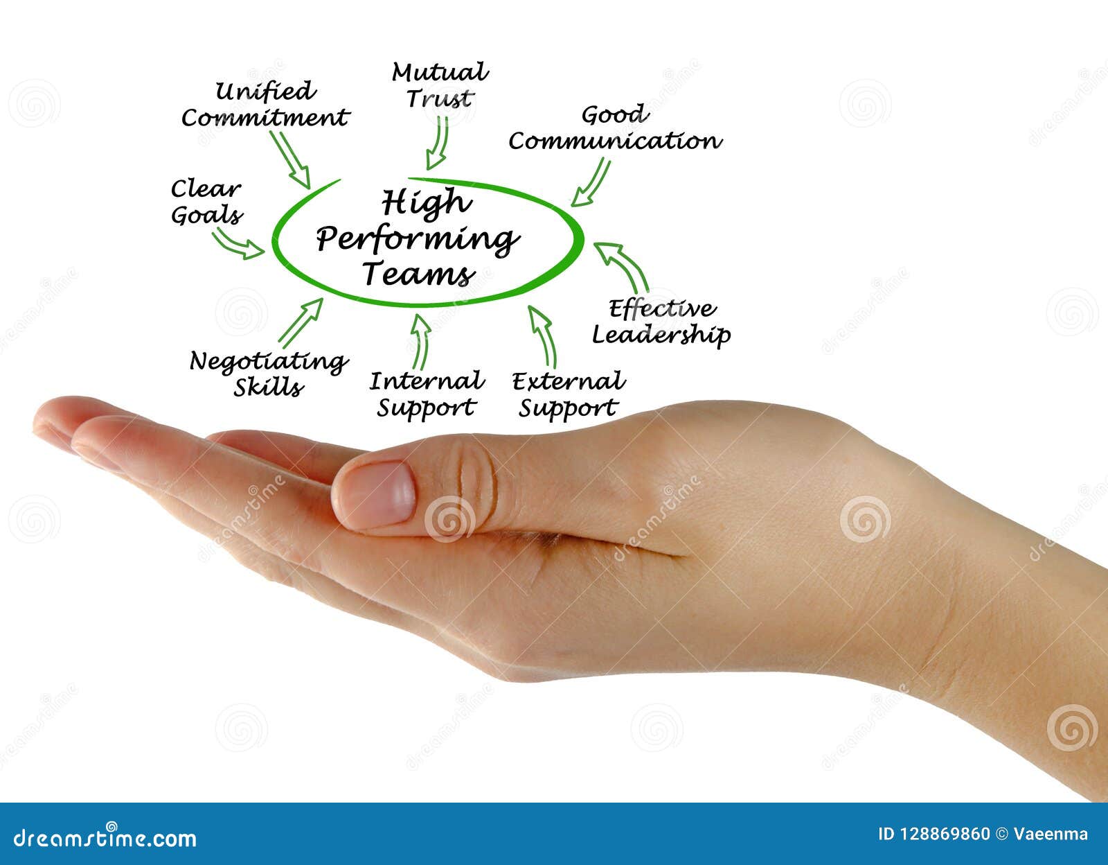 High Performing Teams stock photo. Image of female, person - 128869860