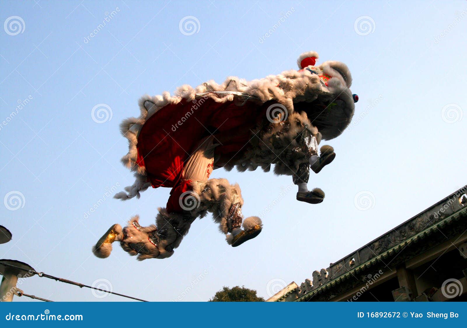 High pile lion editorial photography. Image of arts, sports - 16892672