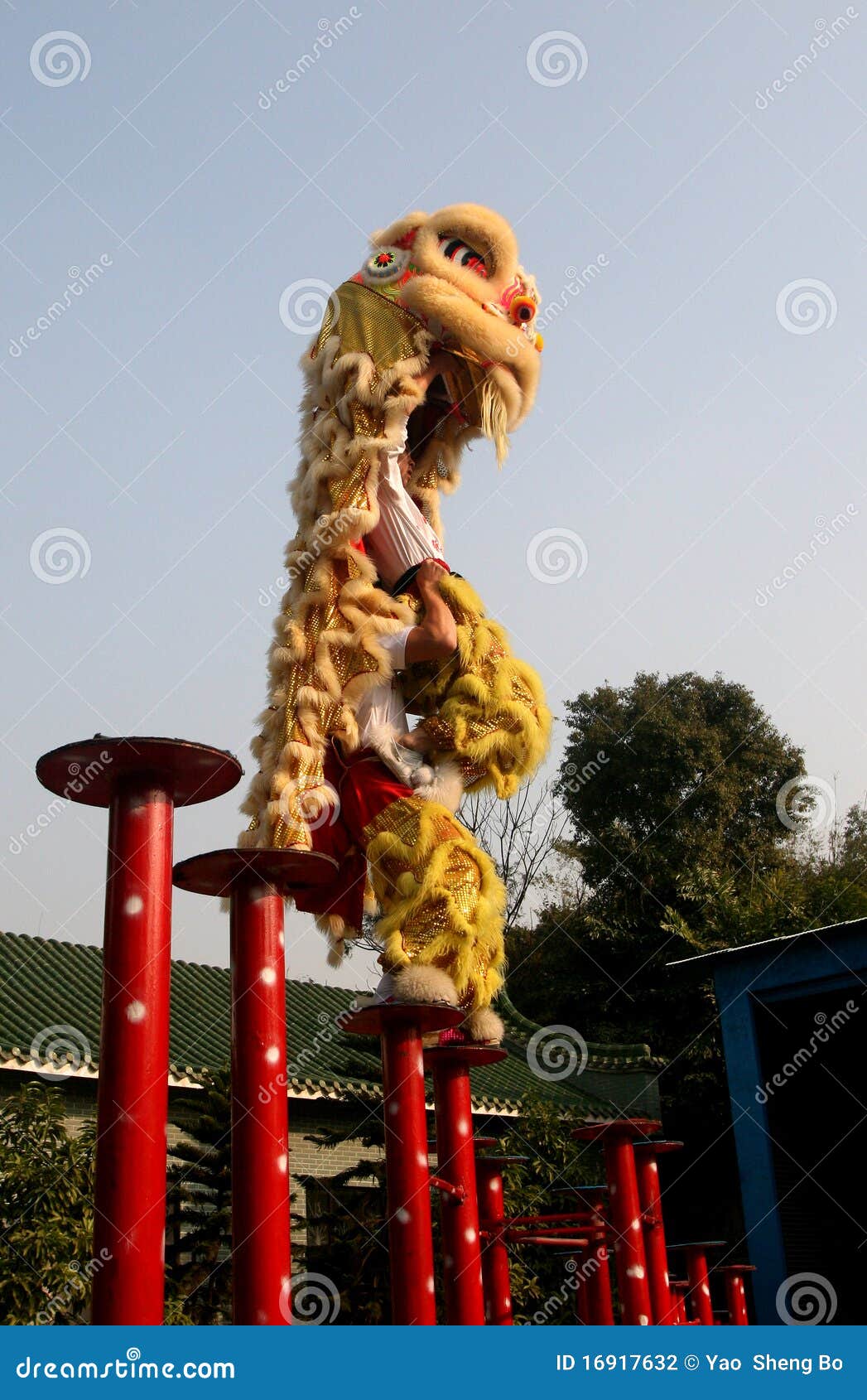 High pile lion editorial photography. Image of game, guangdong - 16917632