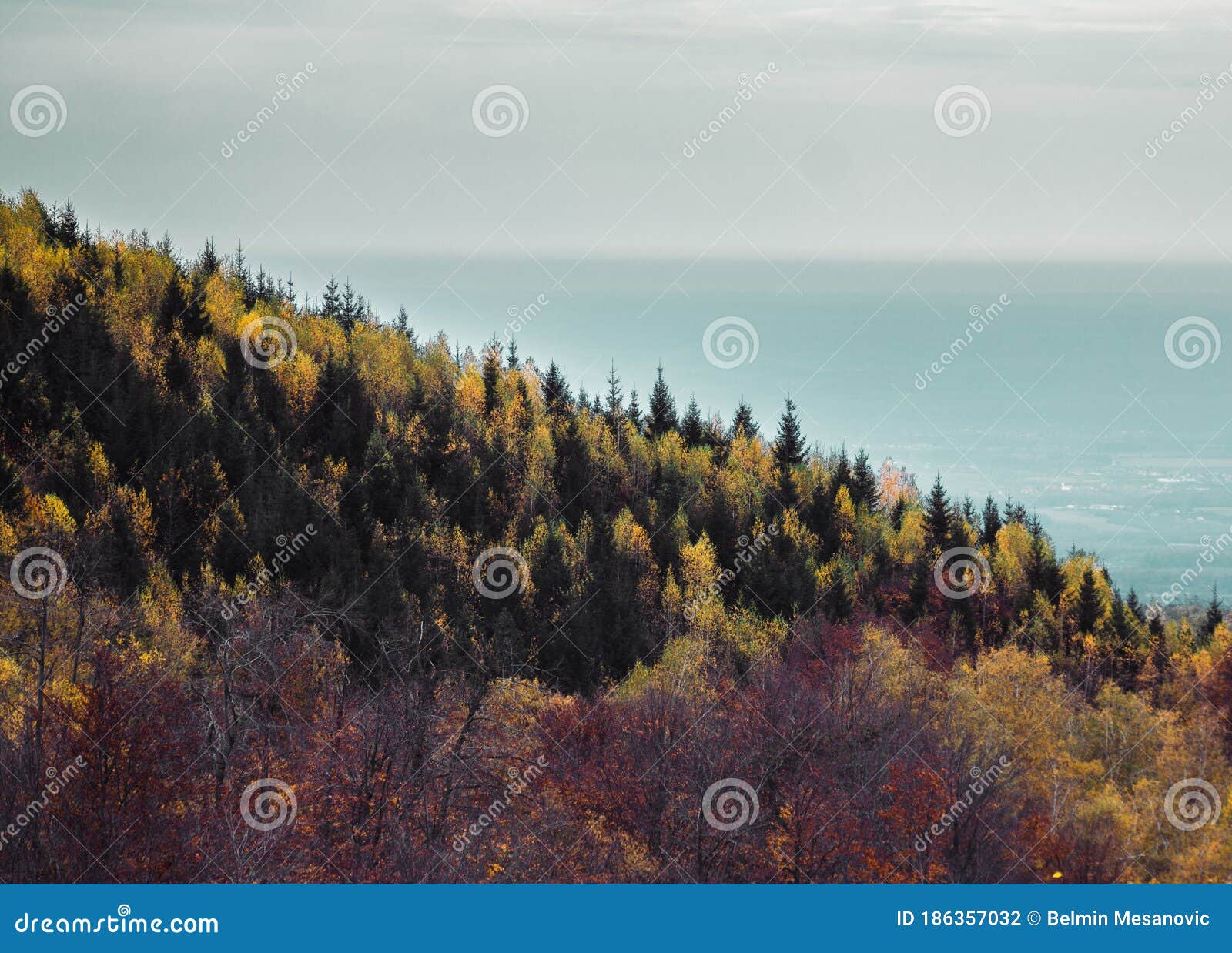 High point view landscape stock photo. Image of woodland - 186357032