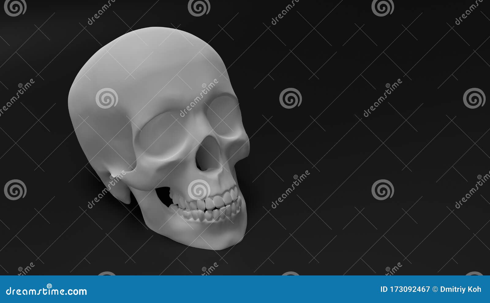 High Poly Anatomically Correct Render of Human Skull Stock Illustration ...