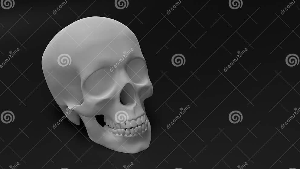 High Poly Anatomically Correct Render of Human Skull Stock Illustration ...