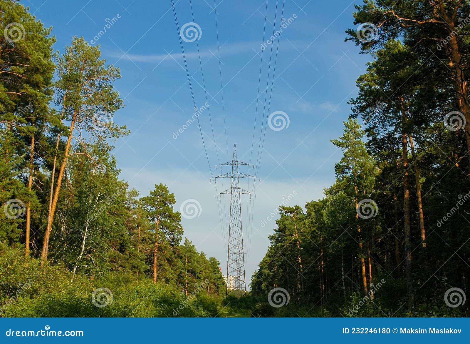 High Power Line Pole in the Middle of the Forest Stock Photo - Image of ...