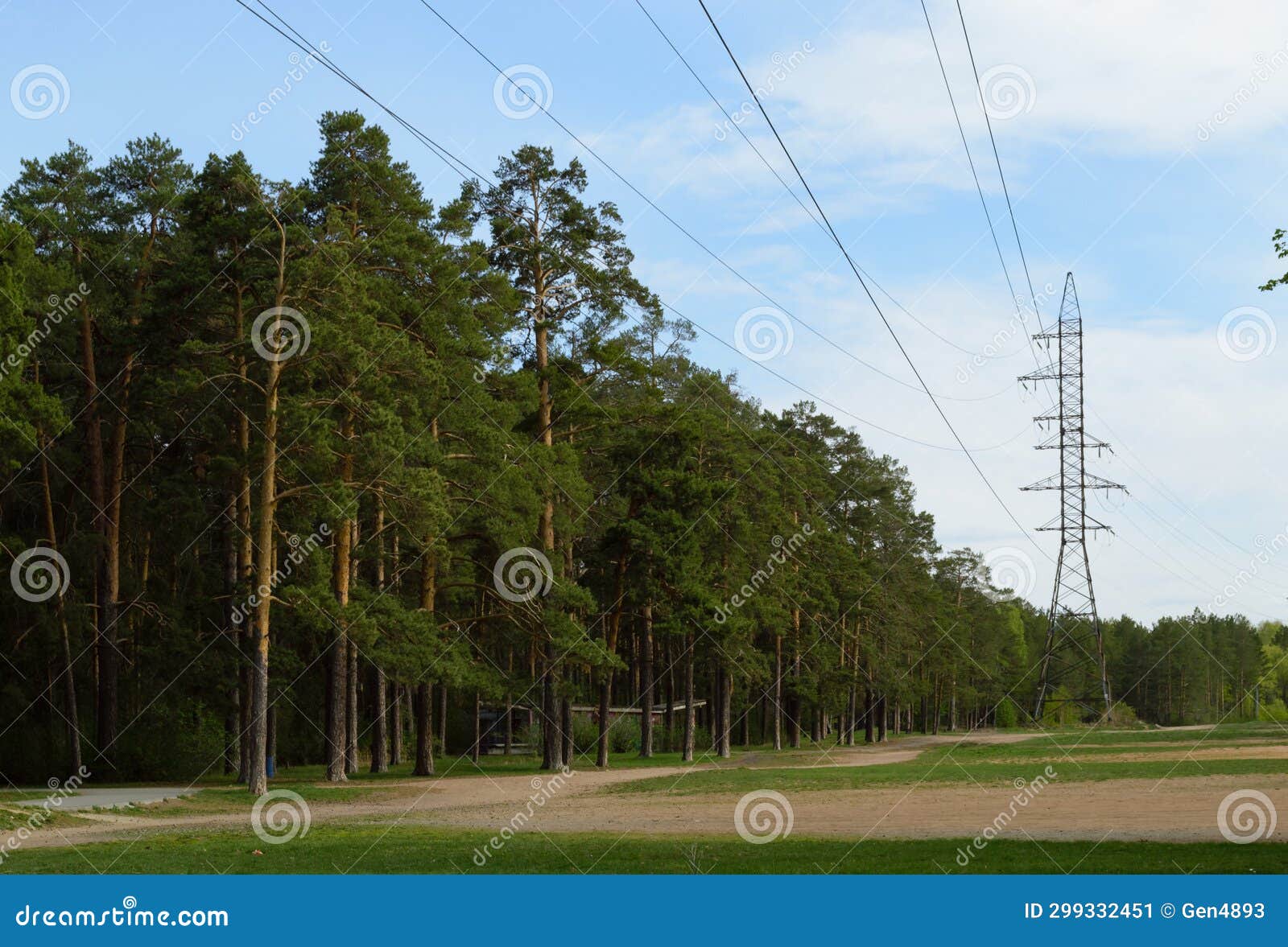 High Power Lines Stand in the Clearing of the Green Forest Stock Image ...