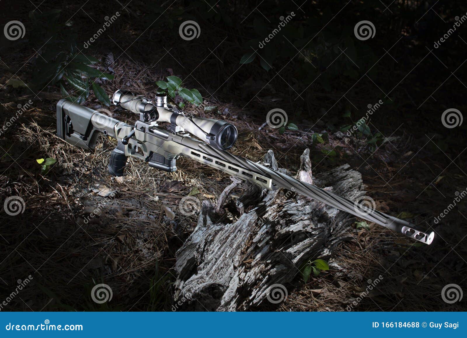 High Powered Rifle in the Forest Stock Photo - Image of forest, barrel ...