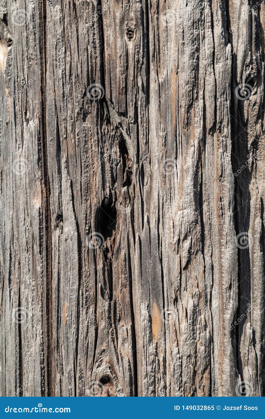 Aged Cracked Wood Surface Texture in Poor Condition Stock Image - Image ...