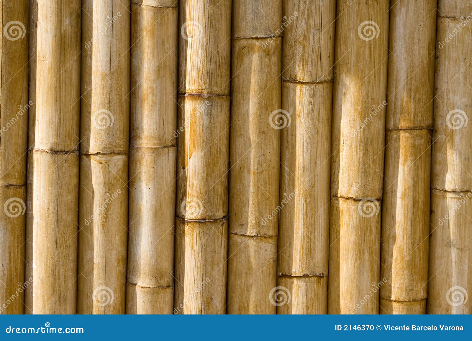 High Quality Bamboo Texture Stock Photo - Image of tile, wood: 2146370