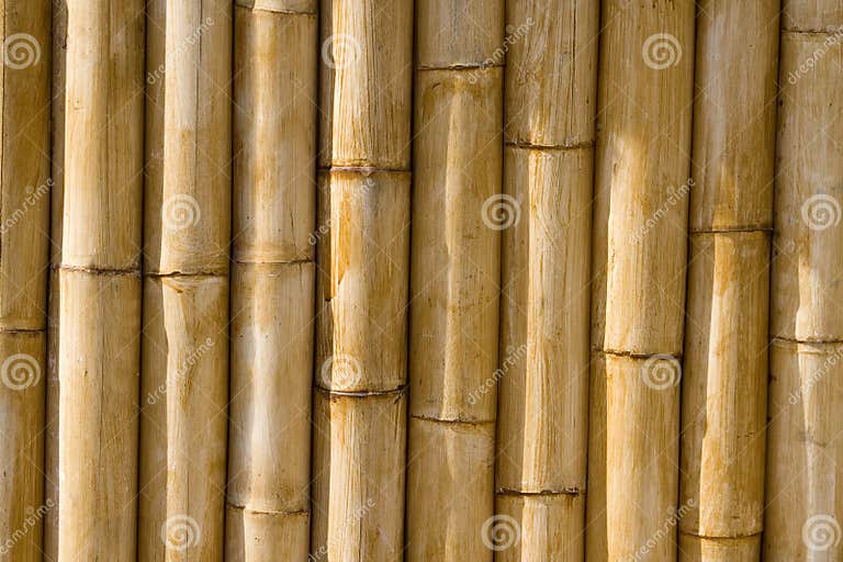 High Quality Bamboo Texture Stock Photo - Image of tile, wood: 2146370