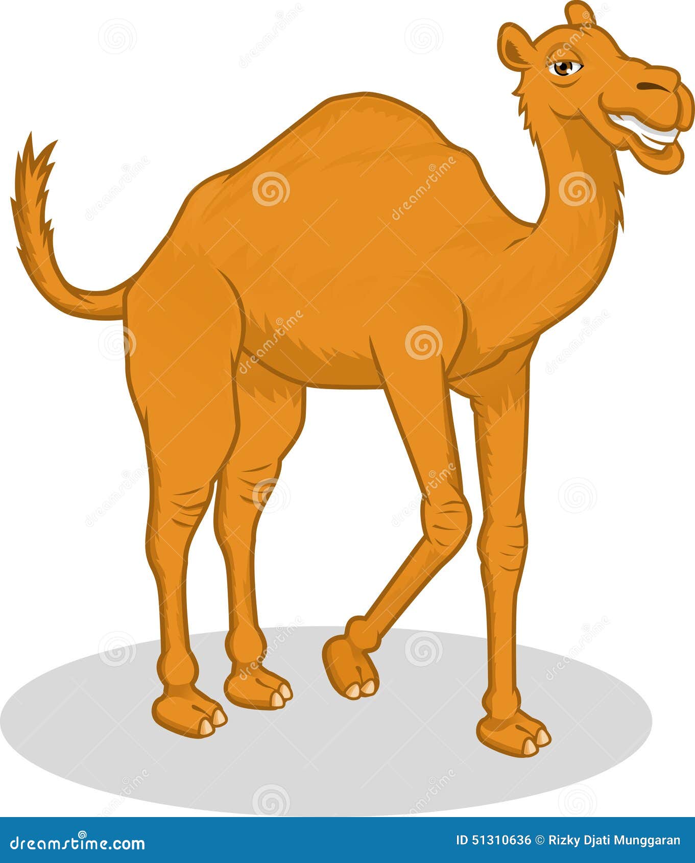 High Quality Camel Vector Cartoon Illustration Stock Vector ...