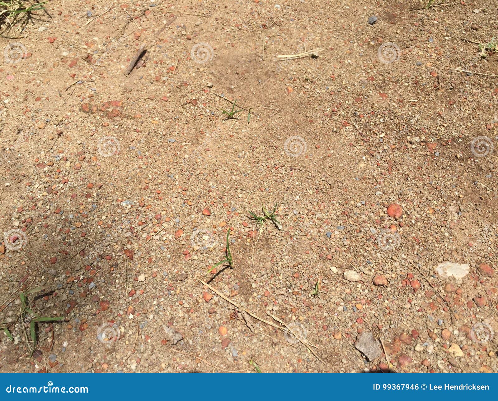 High Quality Dirt floor stock photo. Image of floor, texture - 99367946