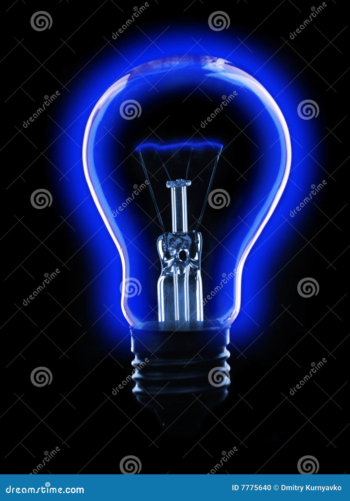 High-quality lightbulb stock photo. Image of business - 7775640