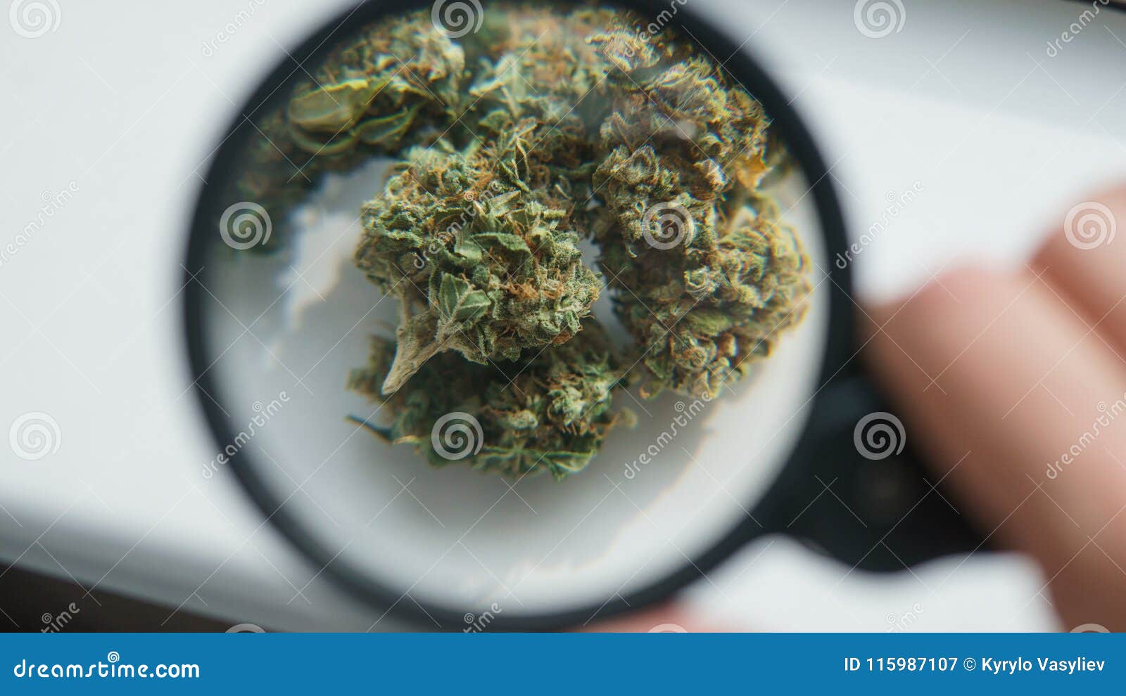 High-quality Medical Buds of Marijuana Concept Stock Image - Image of ...