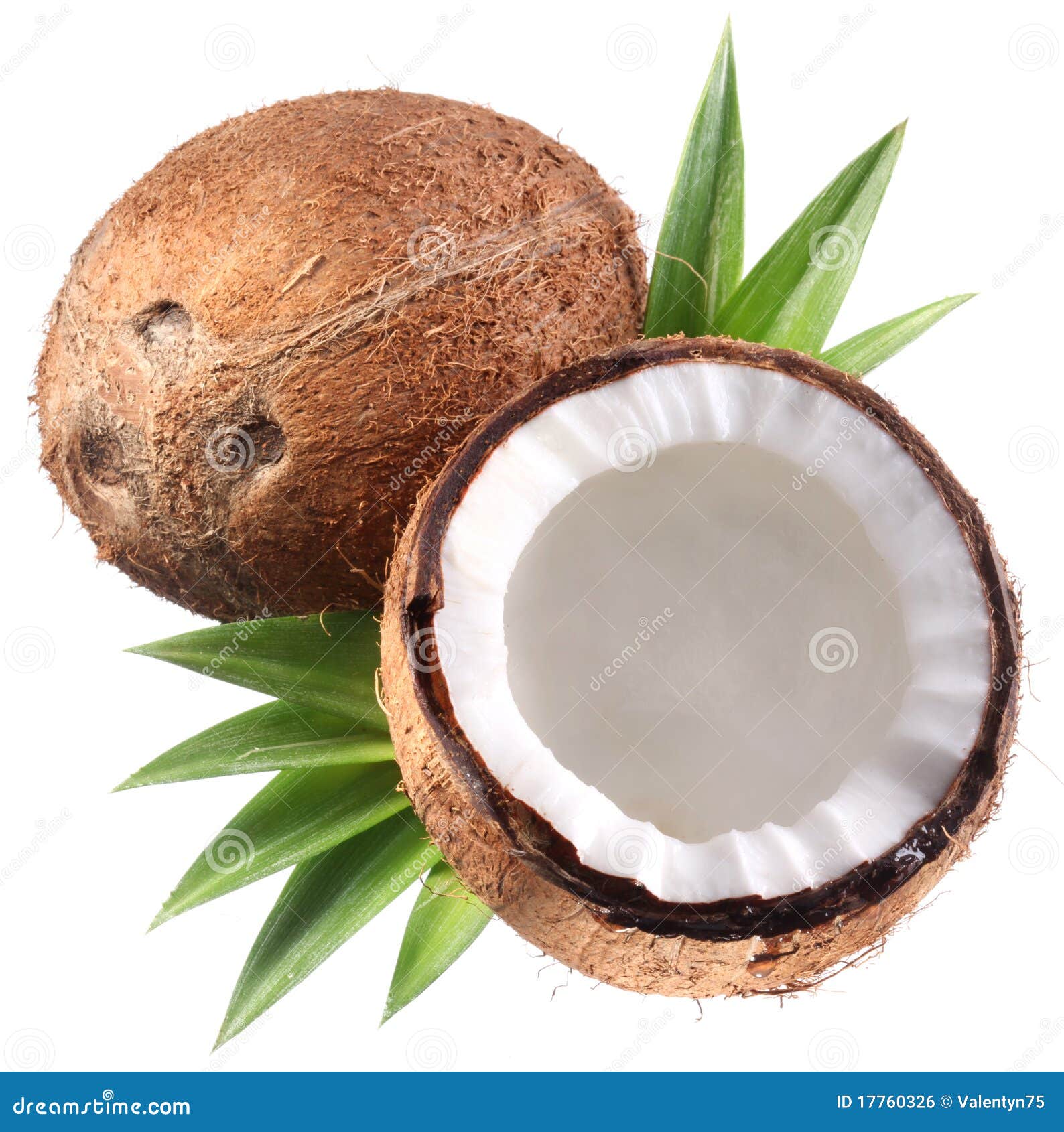 High-quality Photos Of Coconuts. Stock Photo - Image of image, diet ...