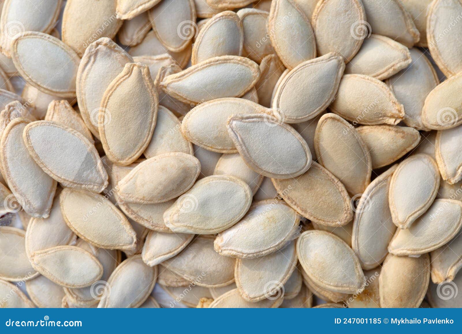 Pumpkin Seeds on a White Background. Texture Stock Image - Image of ...