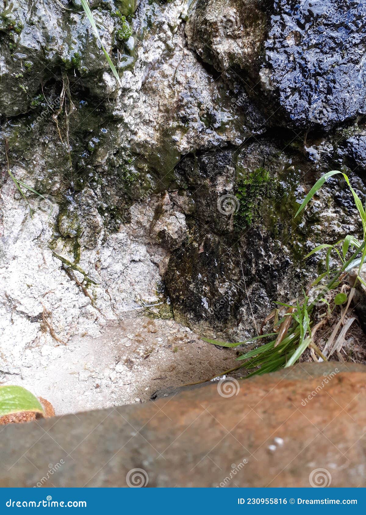 High quality rock walls stock photo. Image of high, rock - 230955816