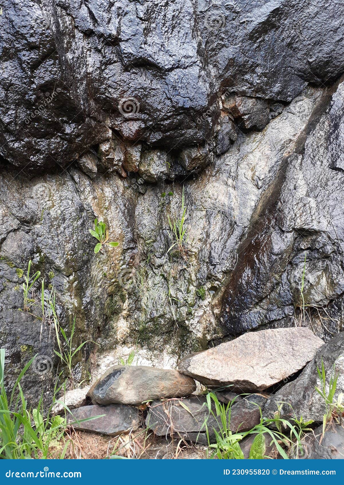 High quality rock walls stock photo. Image of tree, rock - 230955820