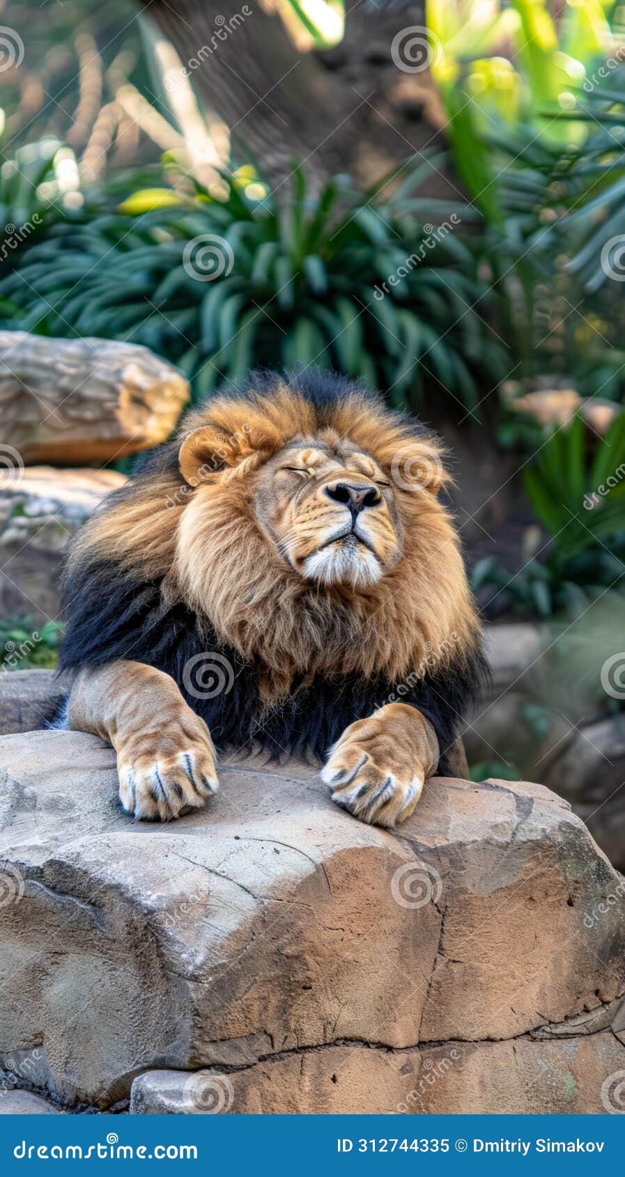 High Quality Stock Photography Stock Image - Image of tranquil ...