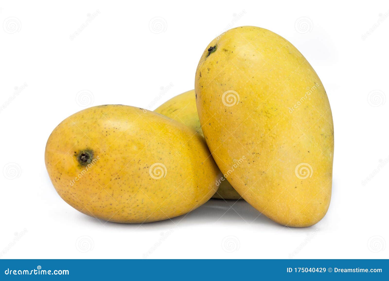 Set of Three Mangoes High Quality Image Stock Image - Image of natural ...