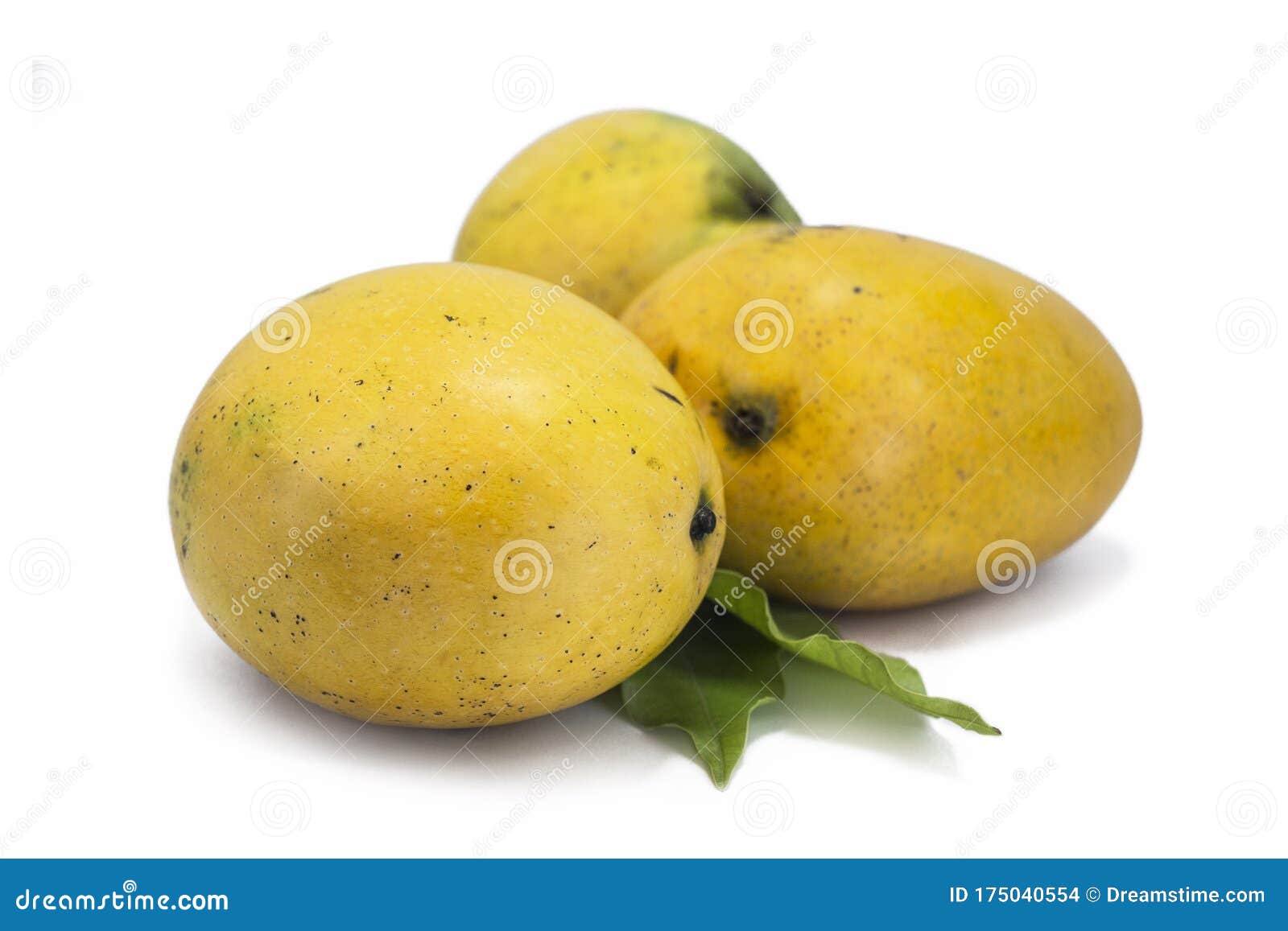 Set of Three Mangoes High Quality Image Stock Photo - Image of drink ...