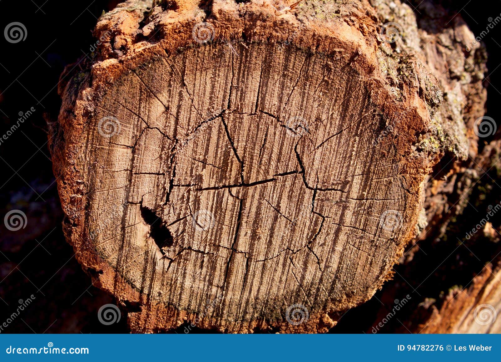 High Relief Rough Cut Oak Log with Bark Stock Photo - Image of history ...