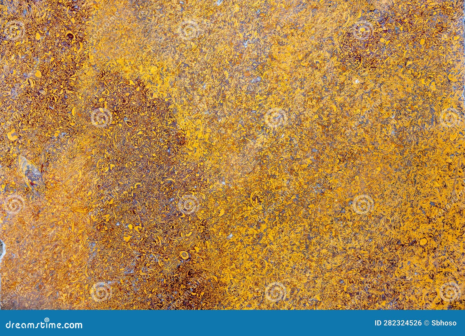 High Res Bright Intense Gradient Old Weathered Rich Multi Earth Tone ...