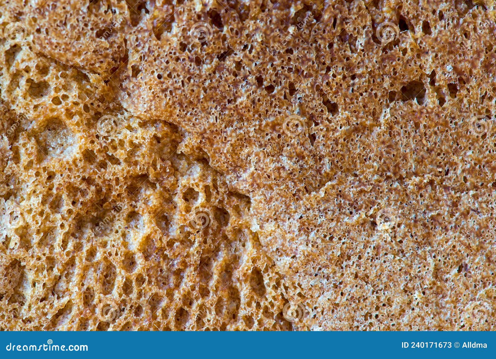 High Resolution Brown Bread Texture Background. Texture of Brown Bread ...